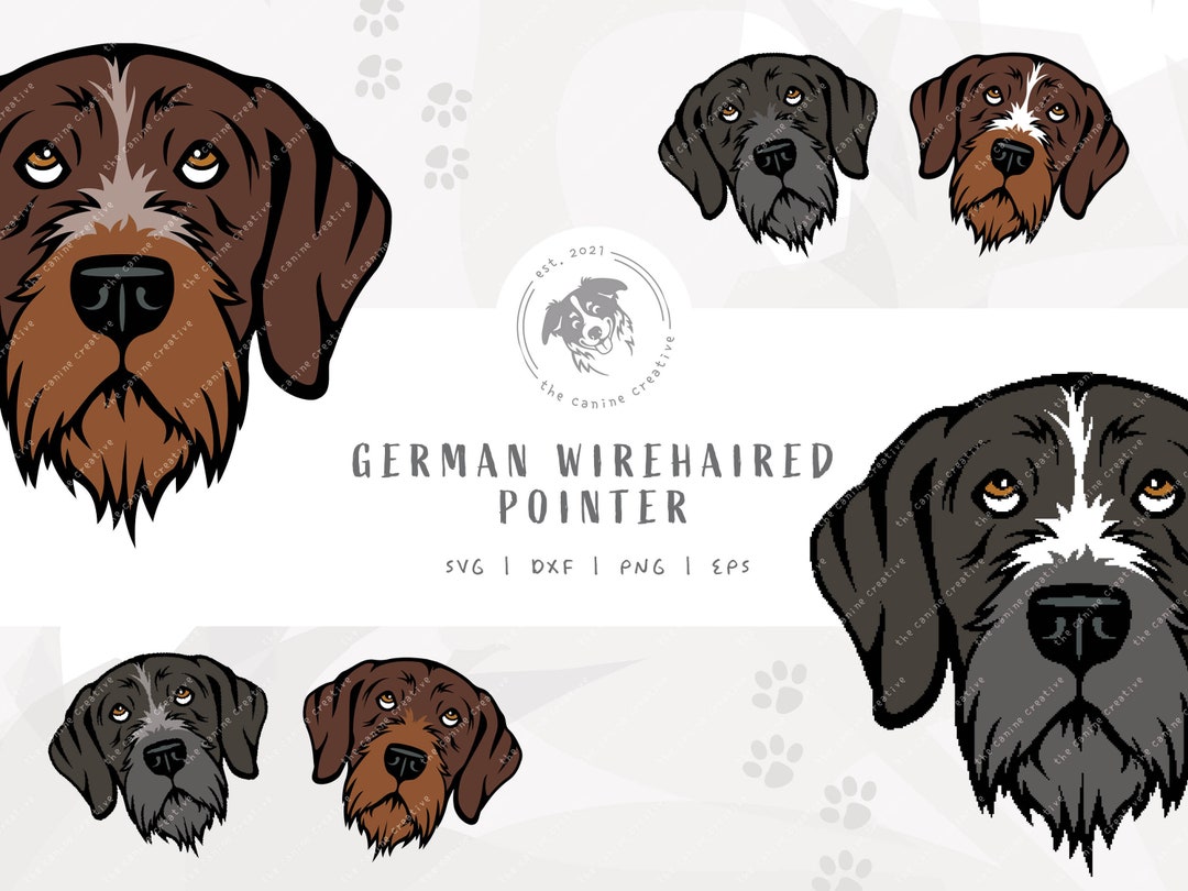 German Wirehaired Pointer SVG, GWP SVG, Dog Face Svg, German Wire Hair ...