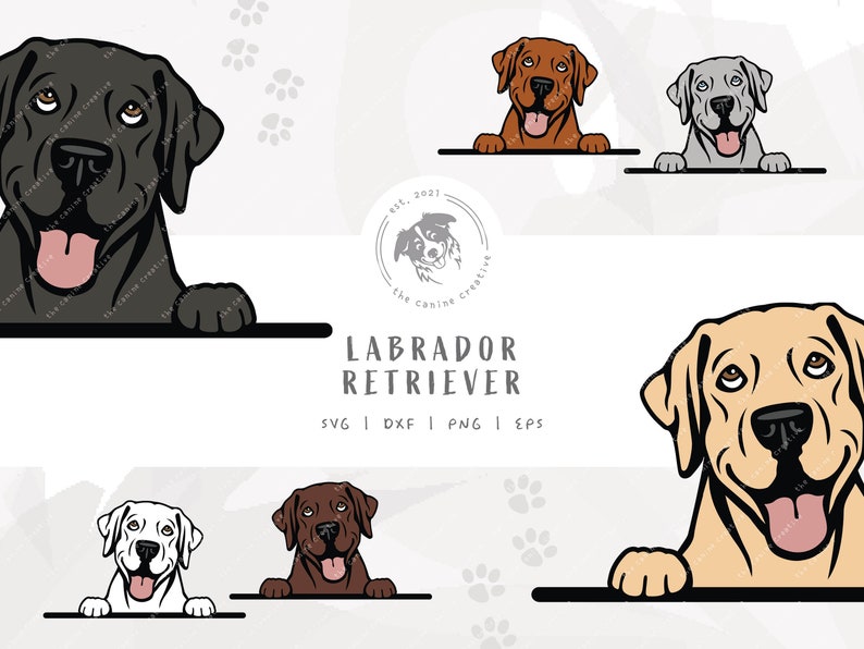 Labrador SVG Peeking Dog SVG 1 Yellow Lab Dog Vector Black - Etsy