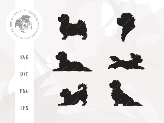 Maltese SVG Bundle Maltese Dog Silhouette PNG Dog Breed - Etsy