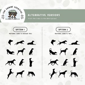 Doberman Silhouette SVG Bundle, Cropped Ears Docked Tail, Dobe Dog ...
