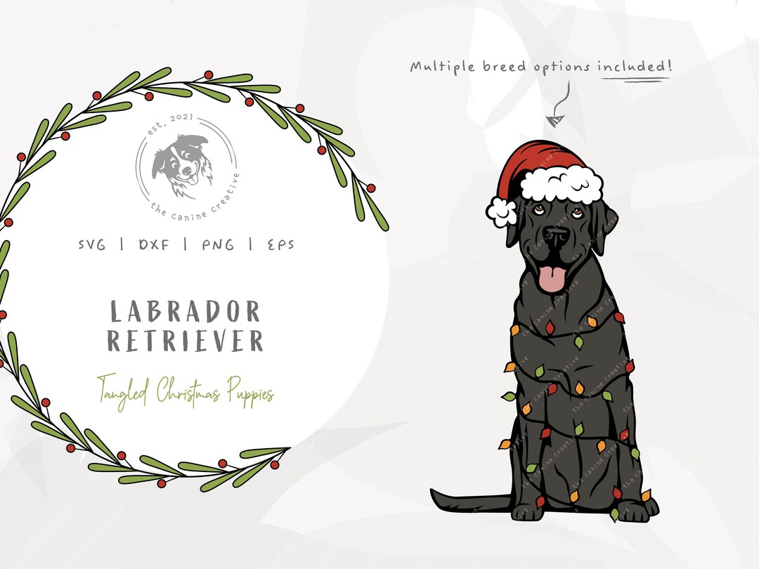 Labrador SVG Christmas, Lab Dog SVG, Tangled Christmas Lights SVG, Dog ...