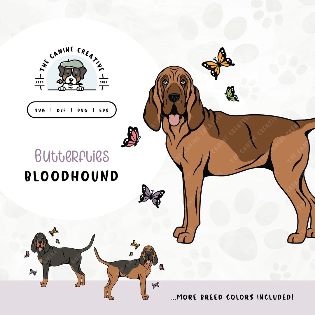 Bloodhound SVG Design | Cute Hound Puppy Butterfly Clipart PNG | DIY ...
