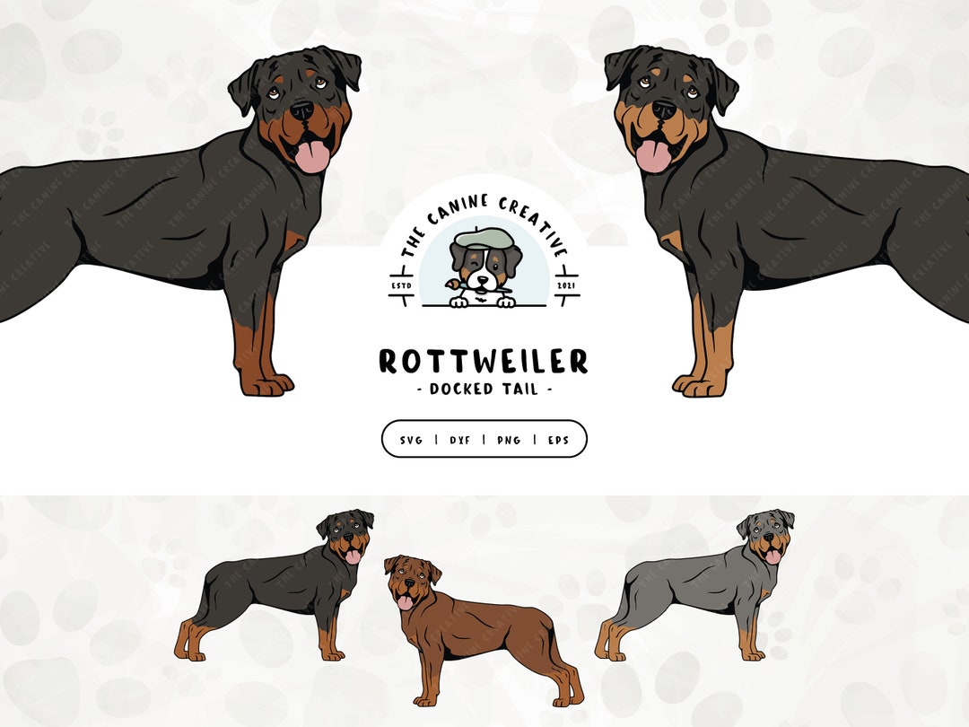 Rottweilers SVG, Docked Tail Rottweiler PNG, Standing Dog Illustration ...