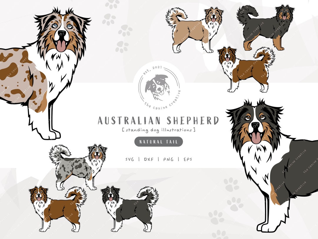 Australian Shepherd SVG Natural Long Tail Aussie SVG - Etsy