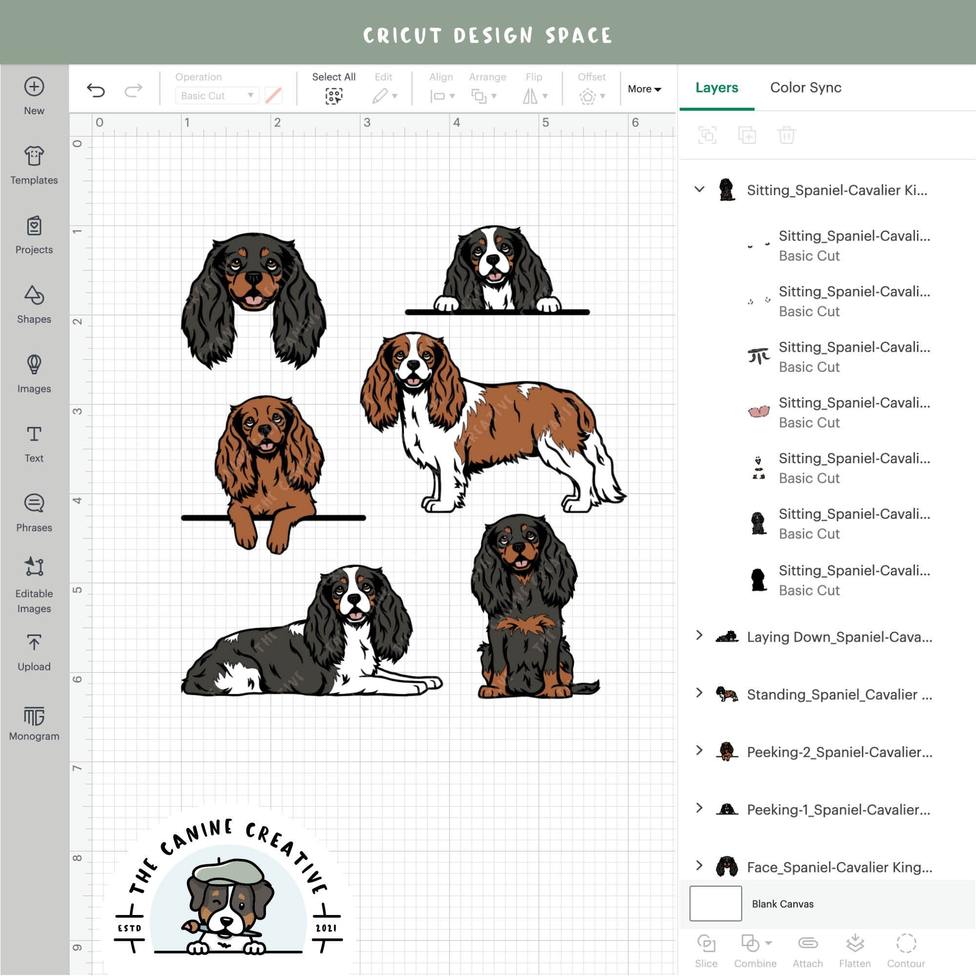 Cavalier King Charles Spaniel SVG Bundle | Cavaliers PNG Clipart ...