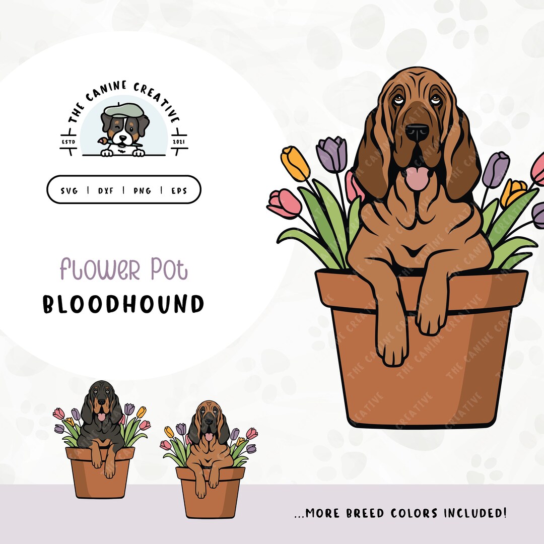 Bloodhound SVG | Cute Peeking Hound Puppy in Flower Pot Clipart | DIY ...