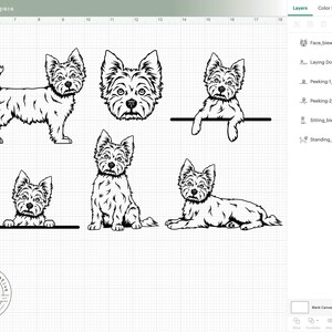 Yorkshire Terrier Clip Art, Yorkie SVG, Biewer Terrier PNG, Undocked ...