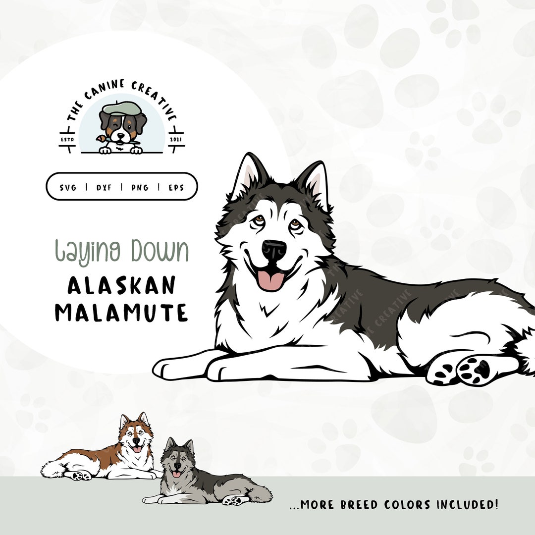 Laying Down Alaskan Malamute SVG | Mally Clipart PNG | Mal Puppy Design ...