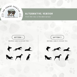 Doberman Silhouette SVG Bundle set 1, Natural Ears Undocked Tail, Dobie ...
