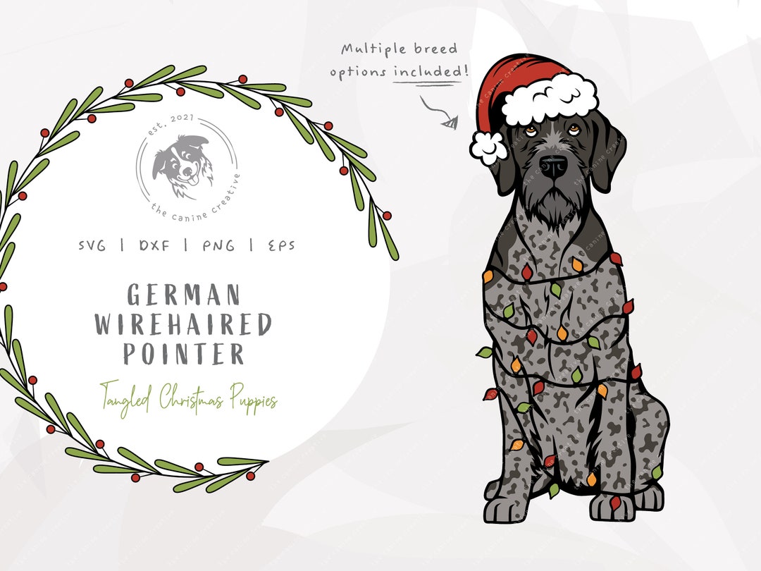 German Wirehaired Pointer SVG, GWP Christmas SVG, Tangled Christmas ...