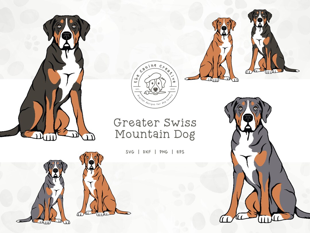 Greater Swiss Mountain Dogs SVG, Swissie Clipart, Sitting Dog PNG ...