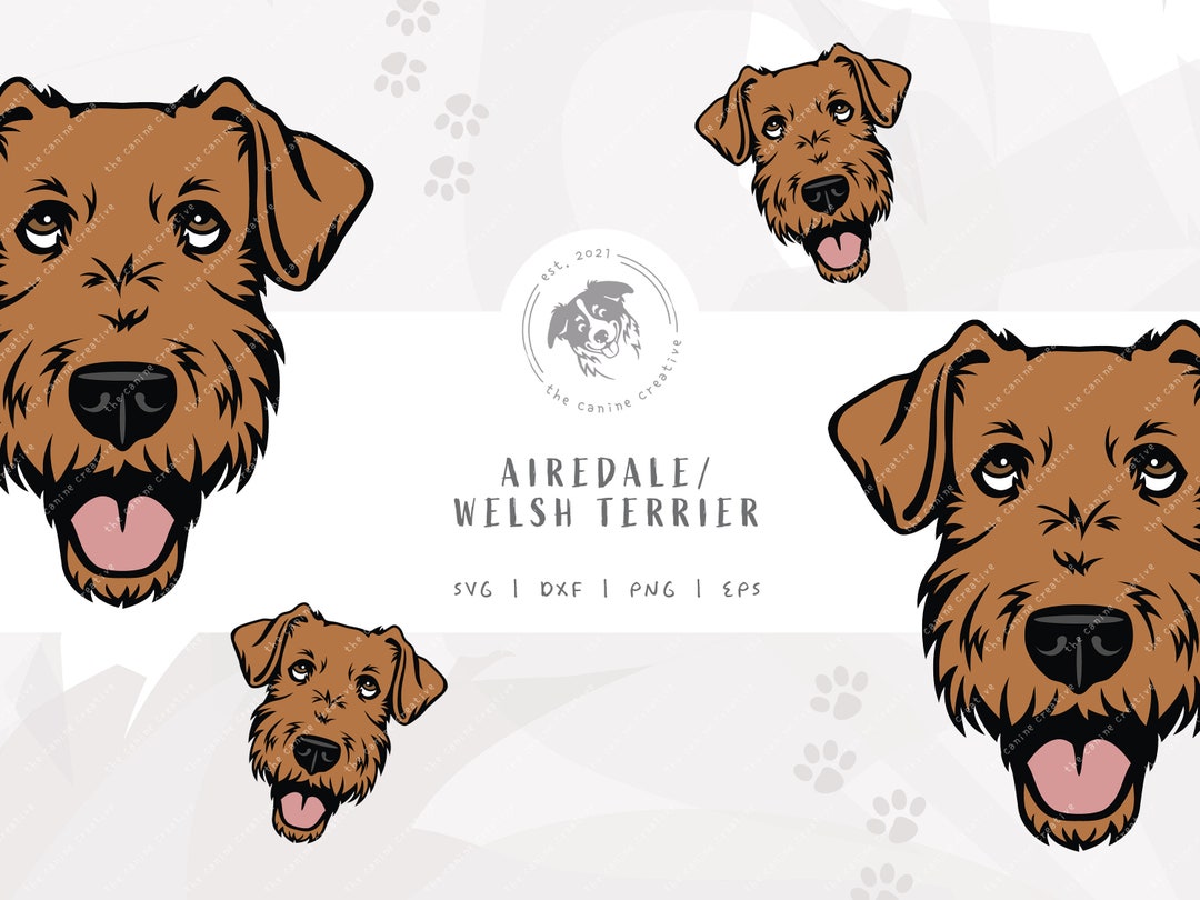 Airedale SVG, Airedale Terrier PNG, Welsh Terrier Art, Dog Face SVG ...