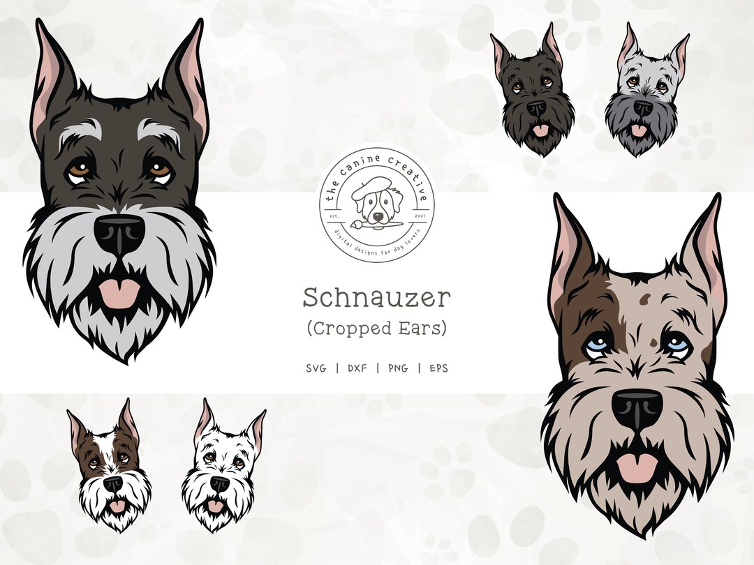 Schnauzer Dog SVG, Cropped Ear Schnauzer PNG, Dog Face Illustration ...
