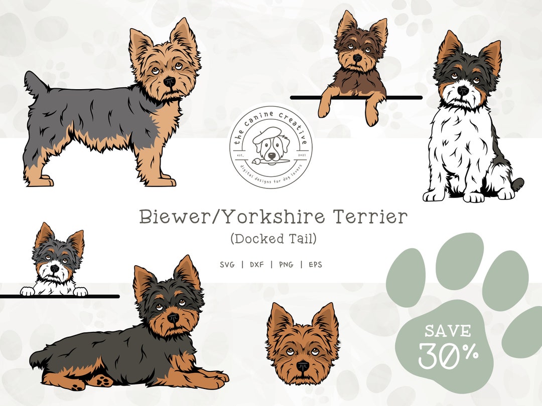 Yorkshire Terriers Clip Art, Yorkie SVG, Biewer Terrier PNG, Docked ...
