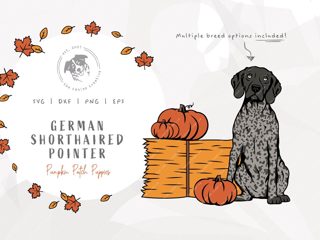 Fall SVG, German Shorthaired Pointer Svg, GSP Svg, Hay Bale Svg ...