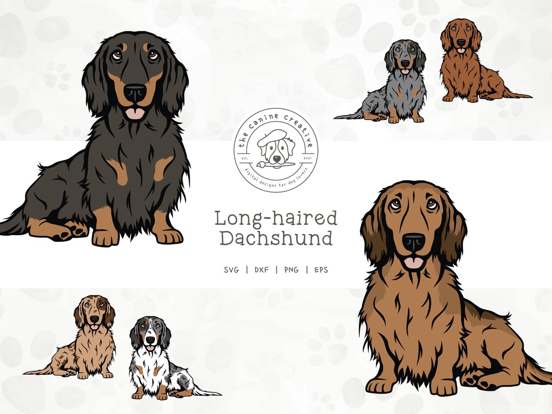 Long-haired Dachshund SVG, Dachshunds Clipart, Sitting Dog Design ...