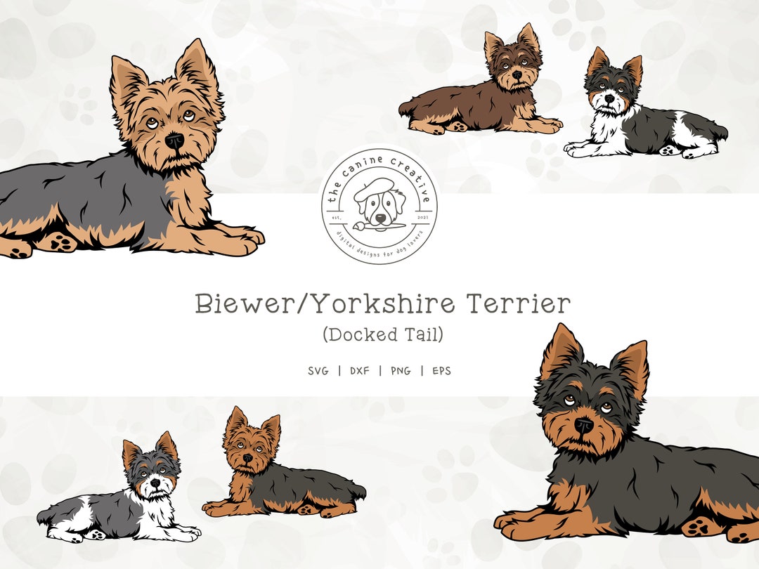 Yorkshire Terriers Clip Art, Yorkie SVG, Biewer Terrier PNG, Docked ...