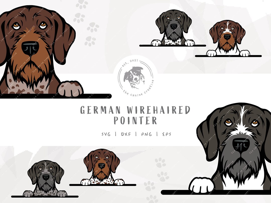 German Wirehaired Pointer SVG, Peeking Dog SVG #1, GWP Svg Layered ...