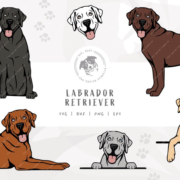 Lab Face Svg - Etsy