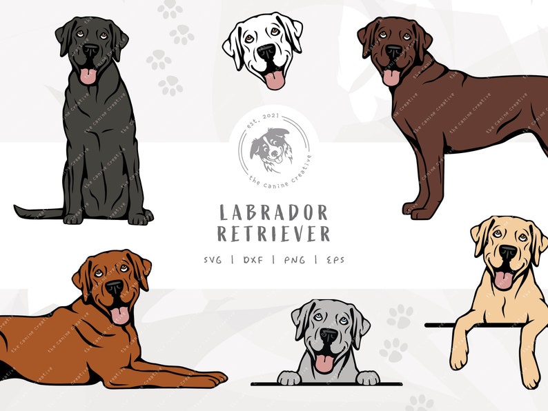 Labrador SVG Bundle Lab Face SVG Sitting Dog Art Standing - Etsy Ireland