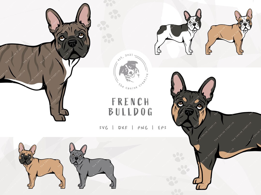 French Bull Dog SVG, French Bulldog SVG, Frenchie PNG, Standing Dog ...