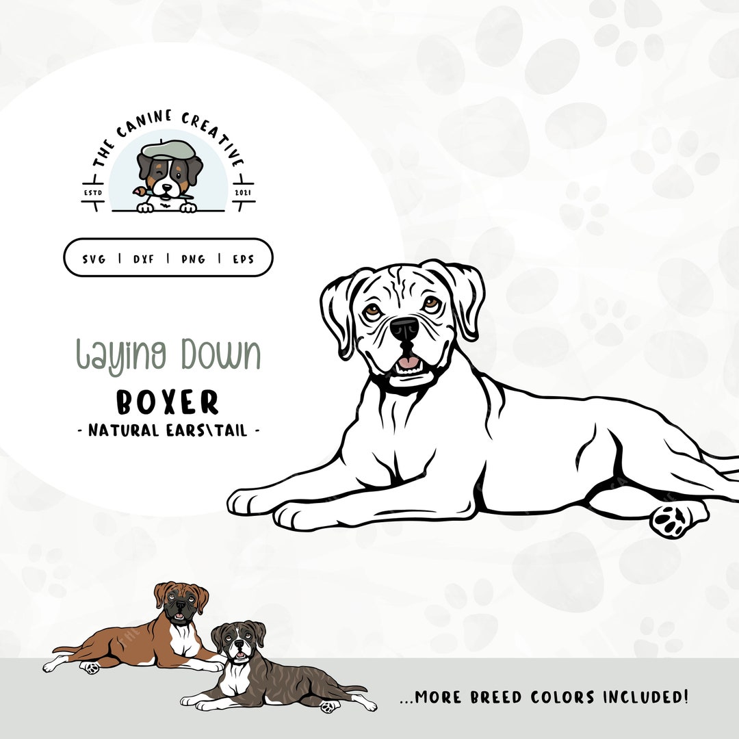 Laying Down Boxer Dog With Tail SVG | Cute Puppy Clipart PNG ...