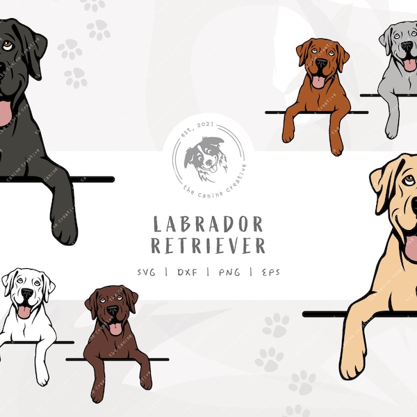 Peeking Lab Svg - Etsy