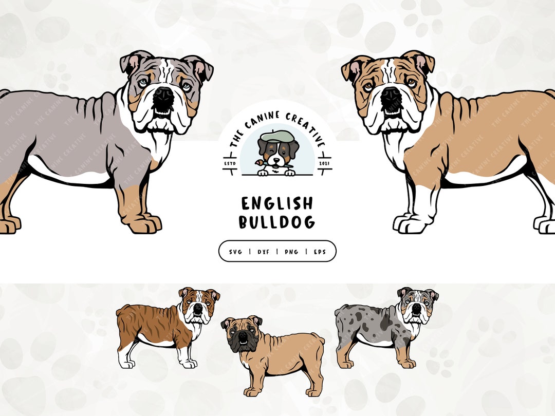 English Bulldog SVG Bulldog Clipart PNG Standing Dog - Etsy
