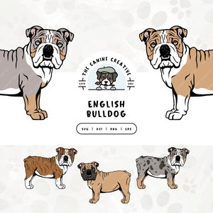 English Bulldog SVG Bulldog Clipart PNG Standing Dog - Etsy