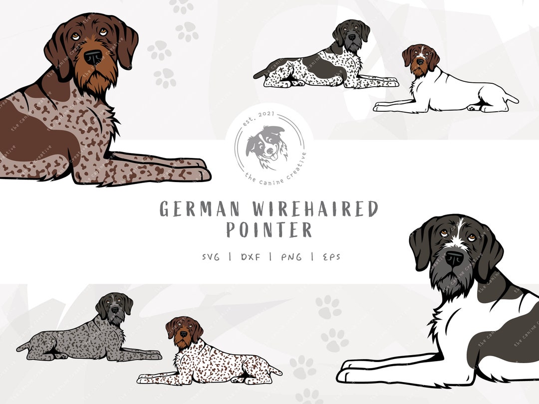 German Wirehaired Pointer SVG, Laying Down Dog Clipart, GWP Layered Svg ...
