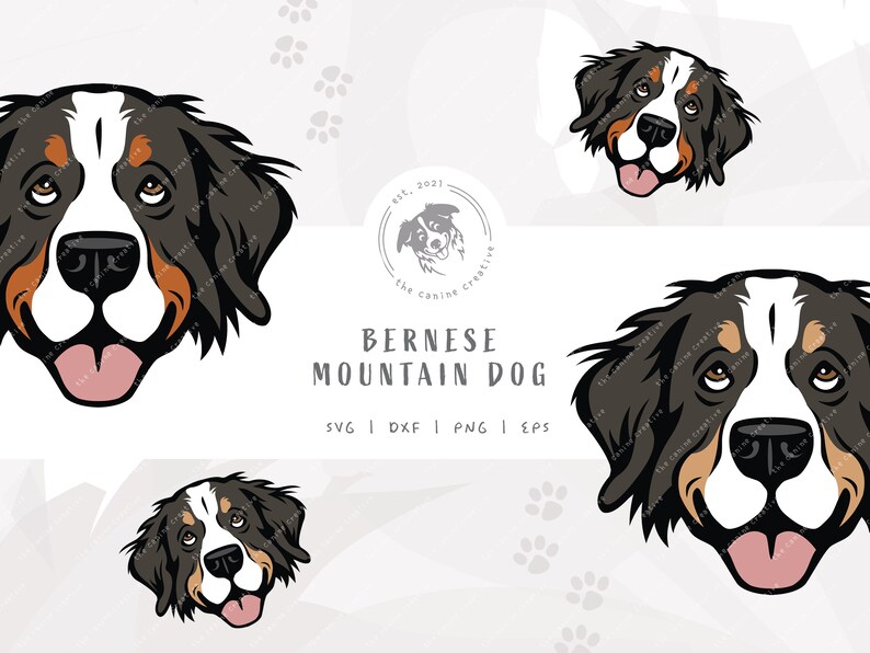 Bernese Mountain Dog SVG Bundle Berner PNG Dog Face SVG Dog - Etsy