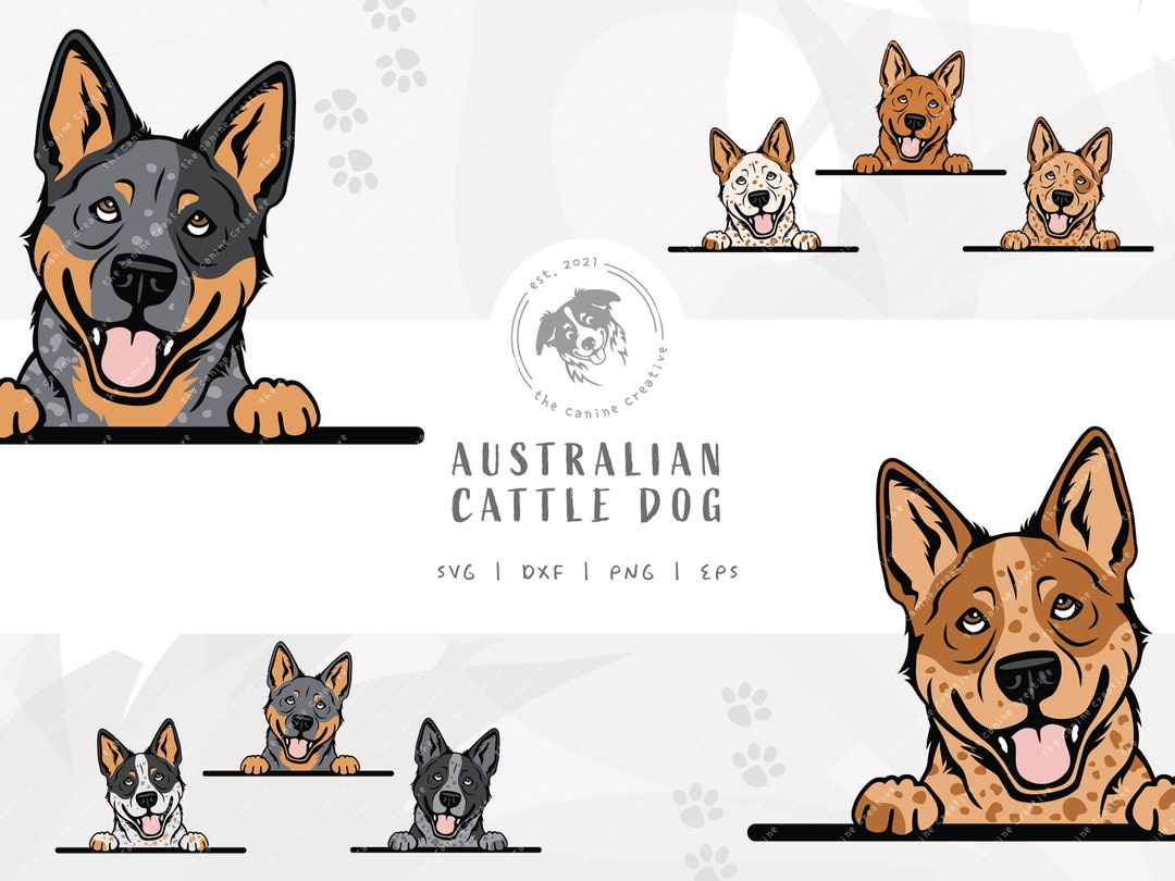 Heeler SVG, Peeking Dog SVG #1, Australian Cattle Dog Clip Art, Blue ...