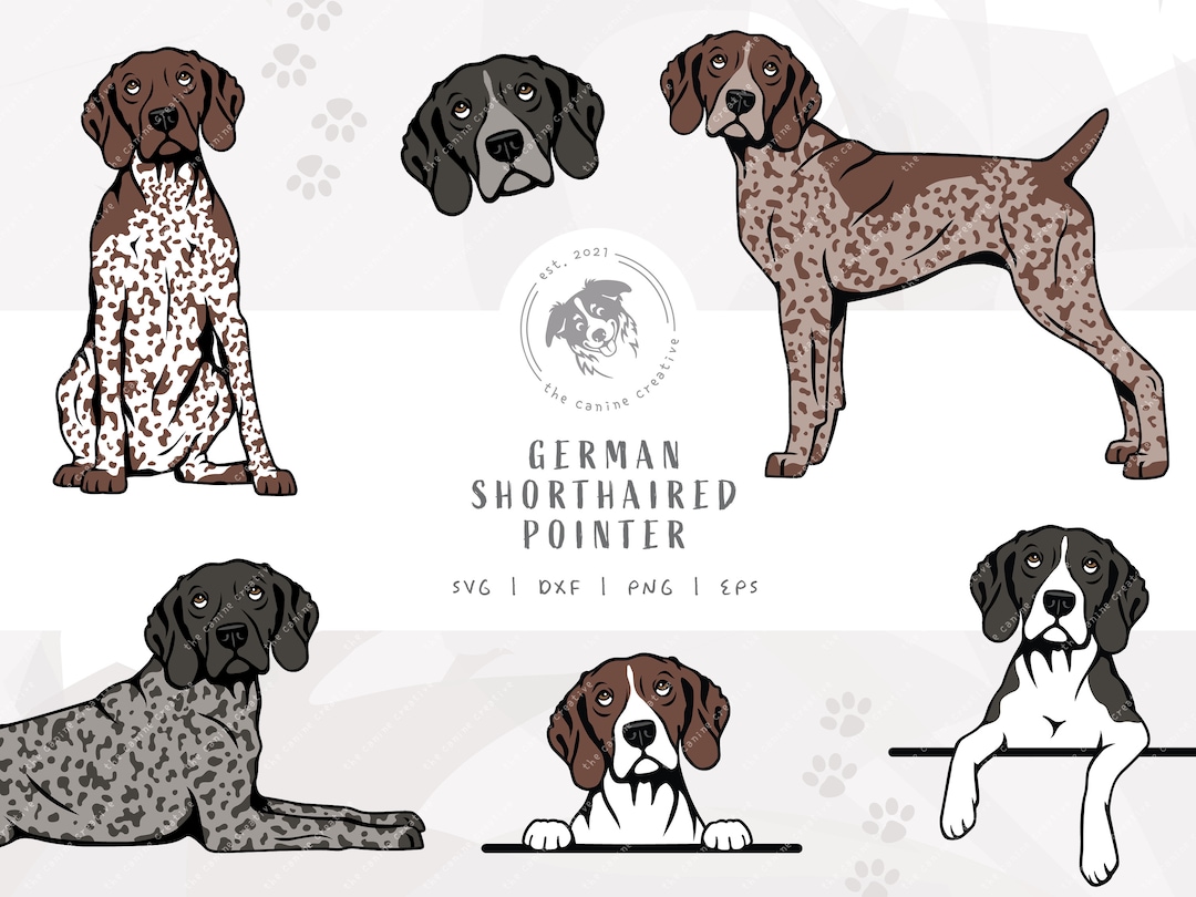 German Shorthaired Pointer SVG Bundle, GSP PNG, Dog Face Design, Peeking Dog Clipart, Sitting ...
