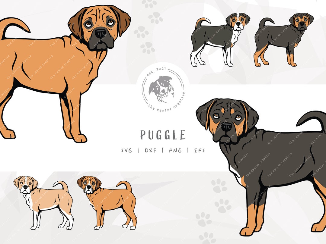 Puggle SVG, Beagle Pug Mix Breed Clipart, Standing Dog Design, Puggle ...