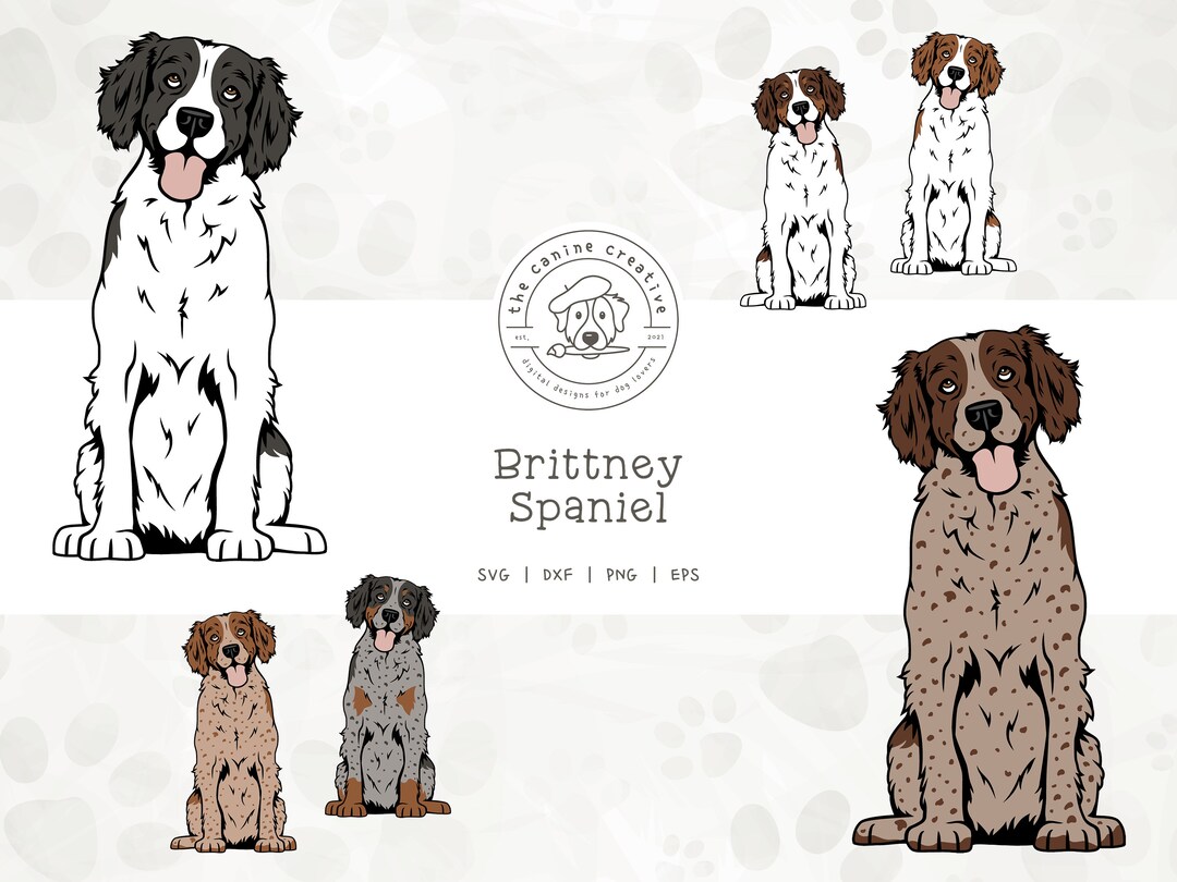 Brittany Dog SVG, Brittany Spaniel Clipart, Sitting Dog PNG, Hunting ...