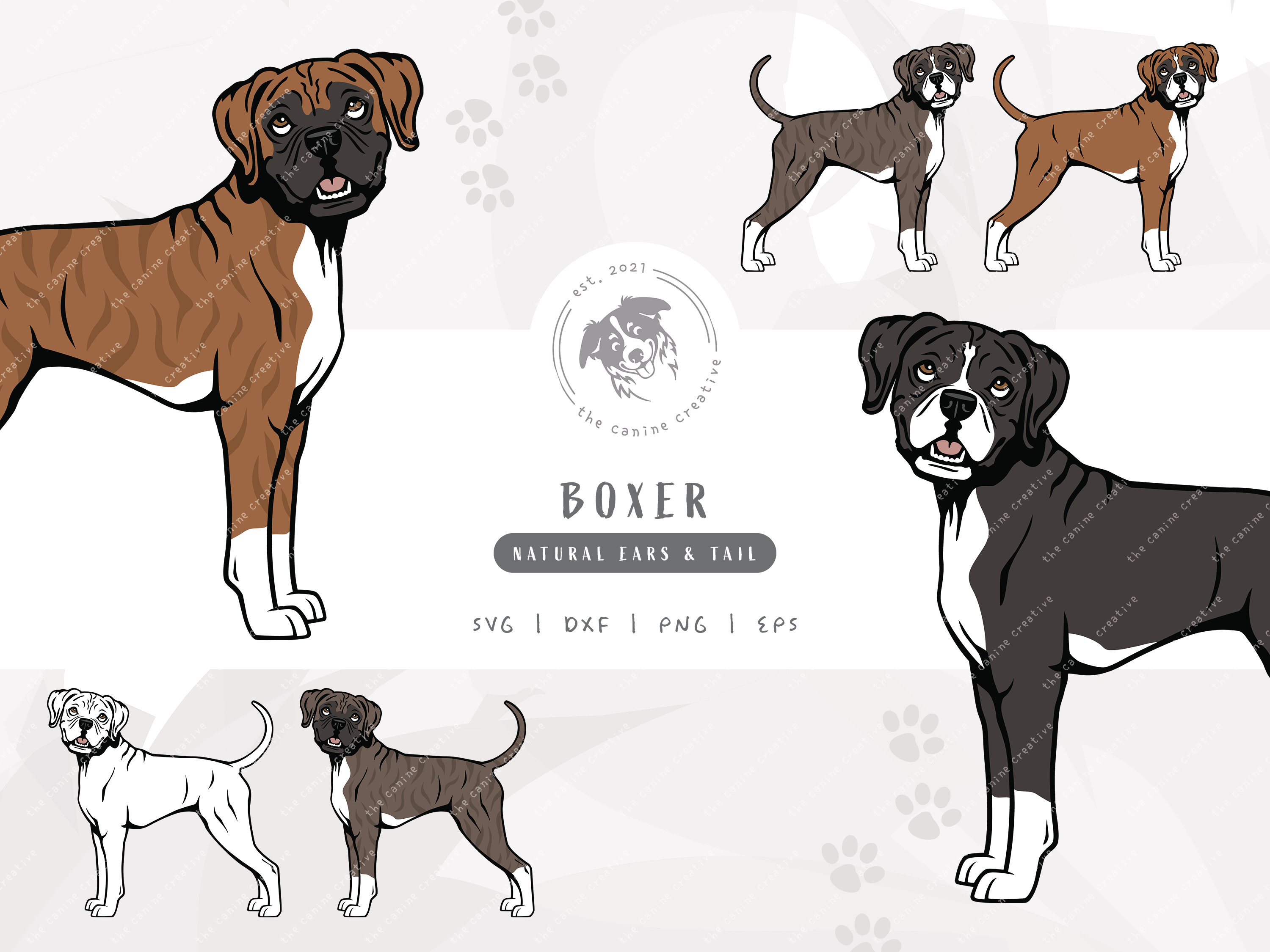 Boxer With Long Tail