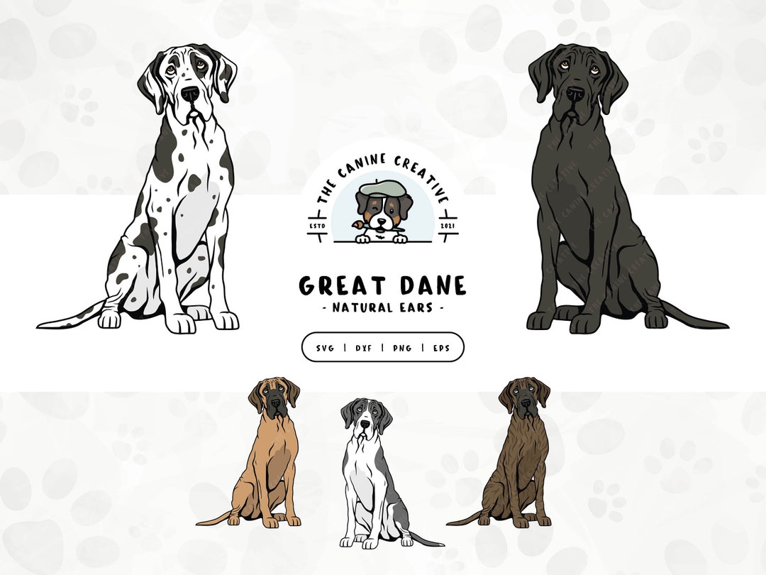 Great Dane SVG Natural Floppy Ears, Sitting Dog Clipart, Hand Drawn ...