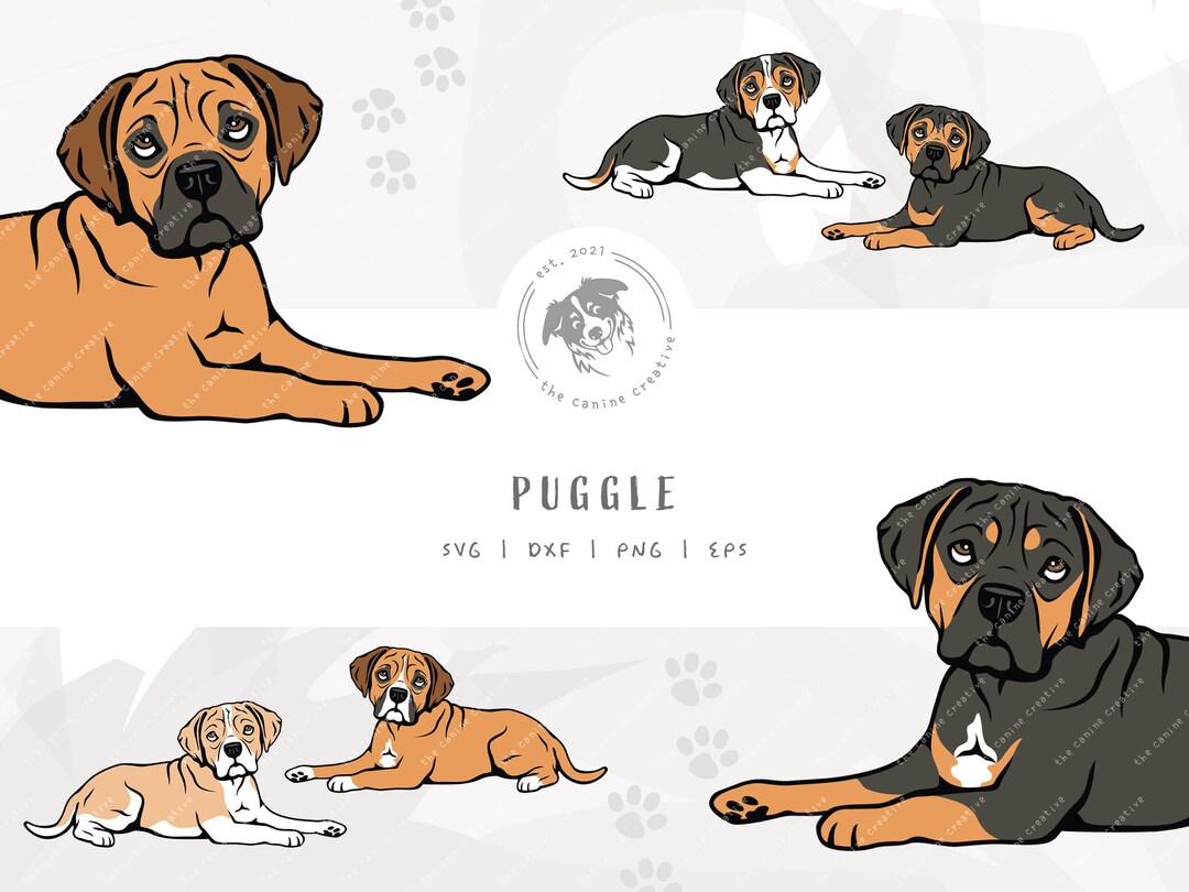 Puggle SVG, Beagle Pug Mix Breed Clipart, Dog Laying Down Design ...