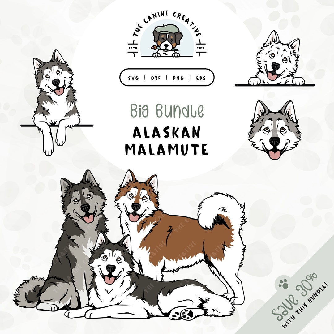 Alaskan Malamute SVG Bundle | Mally Clipart PNG | Mal Puppy Design ...