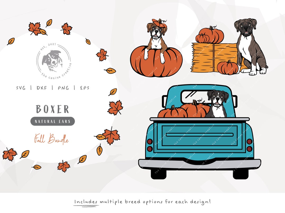 Fall SVG Boxer Dog SVG Boxer Natural Ears Pumpkins Png Hay - Etsy