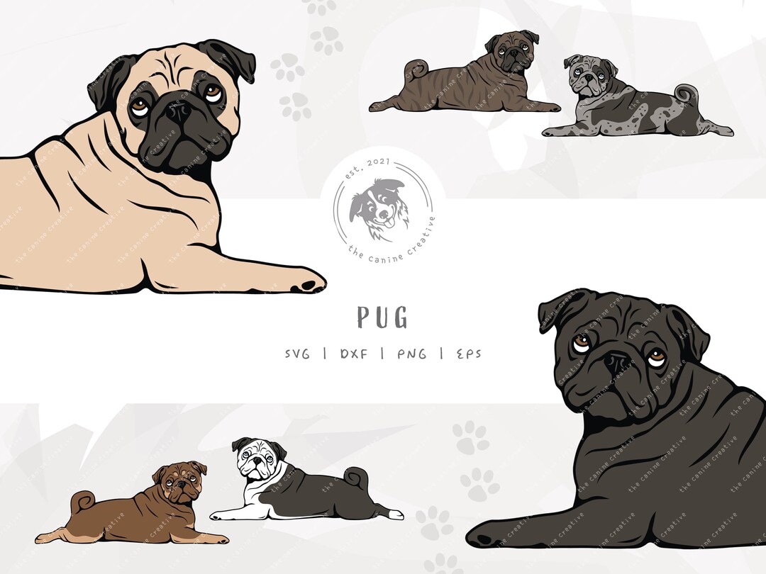 Pug SVG, Dog Laying Down Design, Brindle Pug Clip Art, Fawn Pug ...