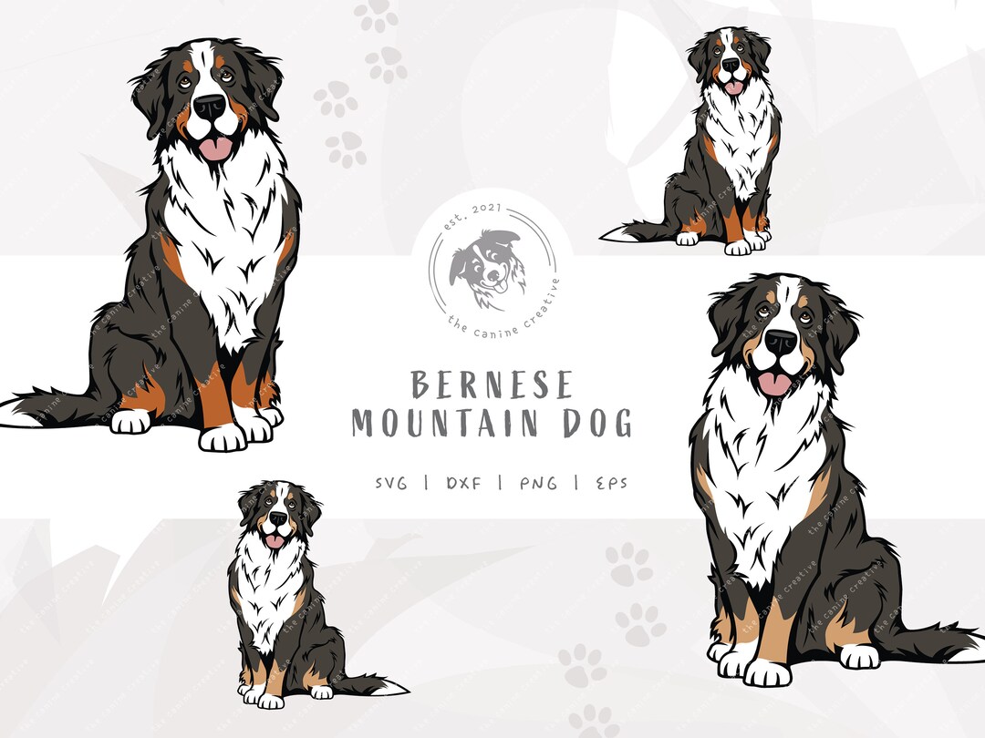 Bernese Mountain Dog SVG Bundle Berner PNG Sitting Dog SVG - Etsy