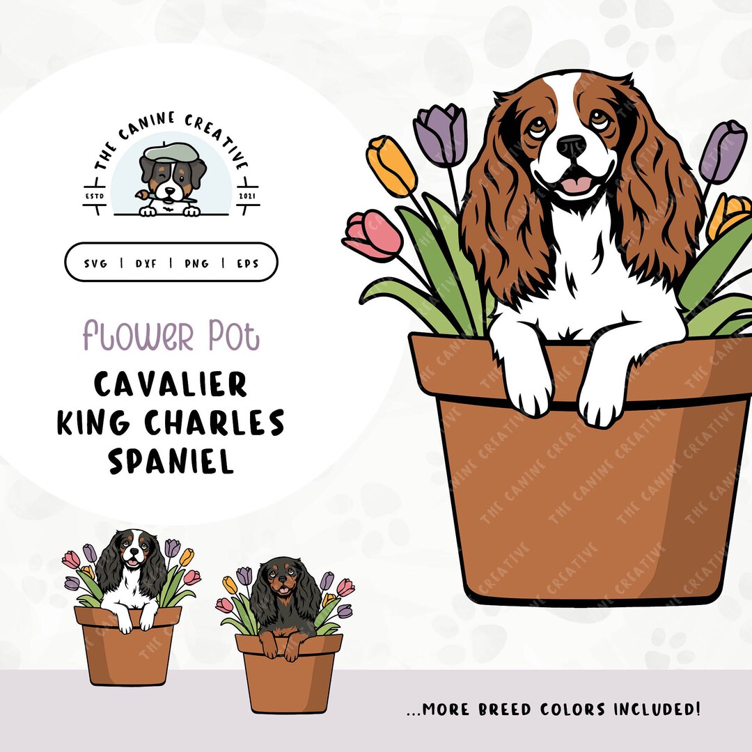 Cavalier King Charles Spaniel SVG | Cute Peeking Puppy in Flower Pot ...