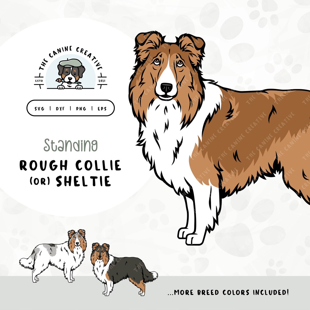 Standing Rough Collie SVG | Shetland Sheepdog Clipart PNG | Printable ...