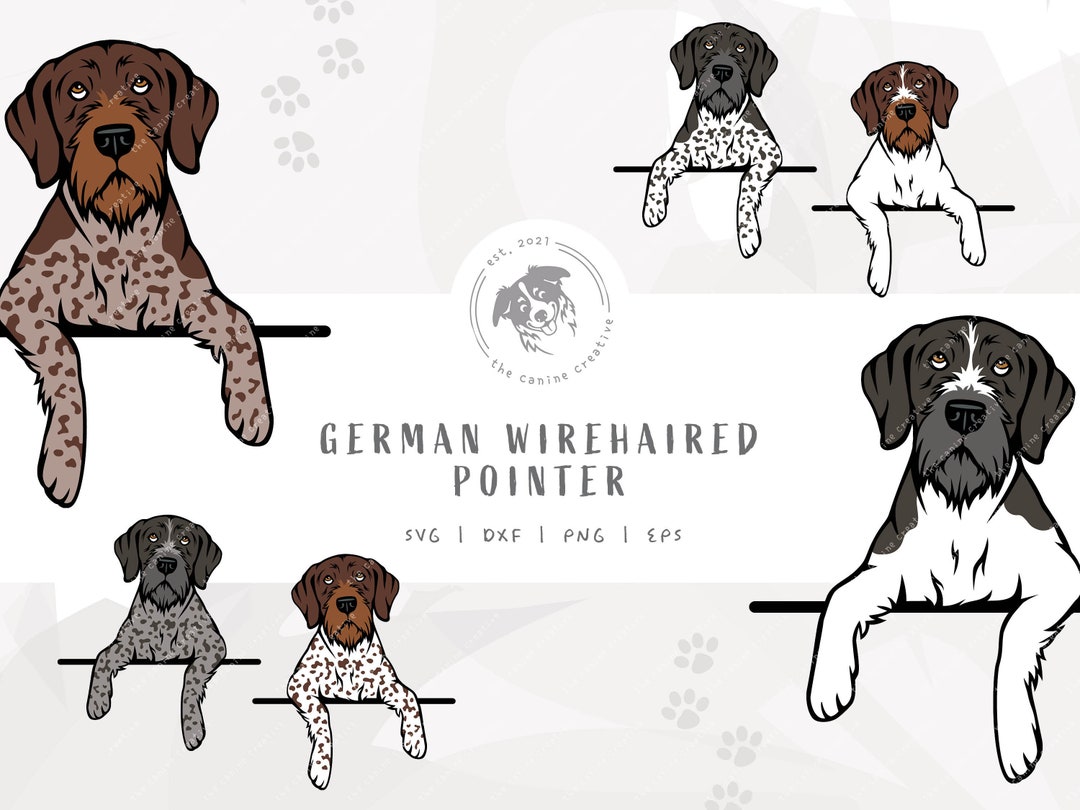 German Wirehaired Pointer SVG, Peeking Dog SVG #2, GWP Svg Layered ...