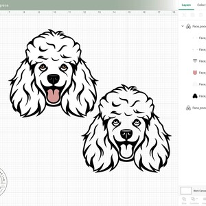 Poodles SVG, Dog Face Svg, Standard Poodle PNG, Toy Poodle Clipart ...