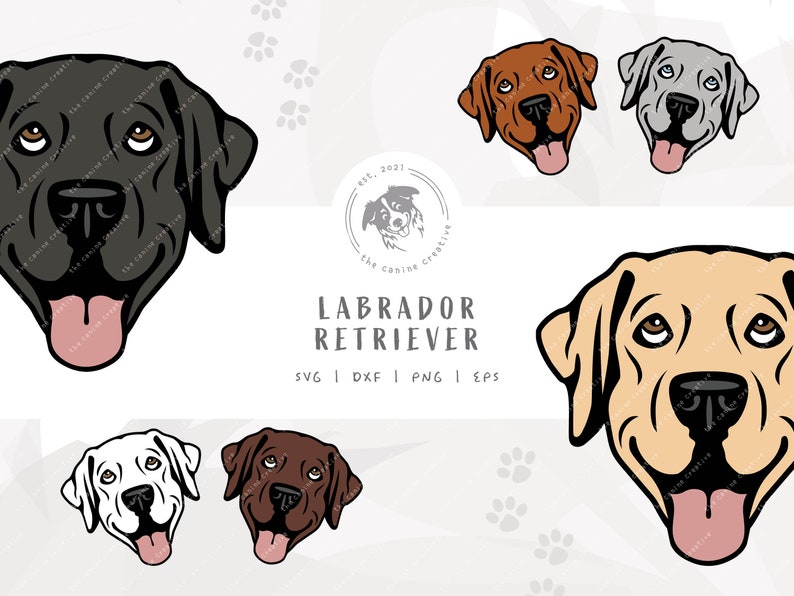 Lab Face SVG Labrador SVG Yellow Lab Dog Vector Black - Etsy