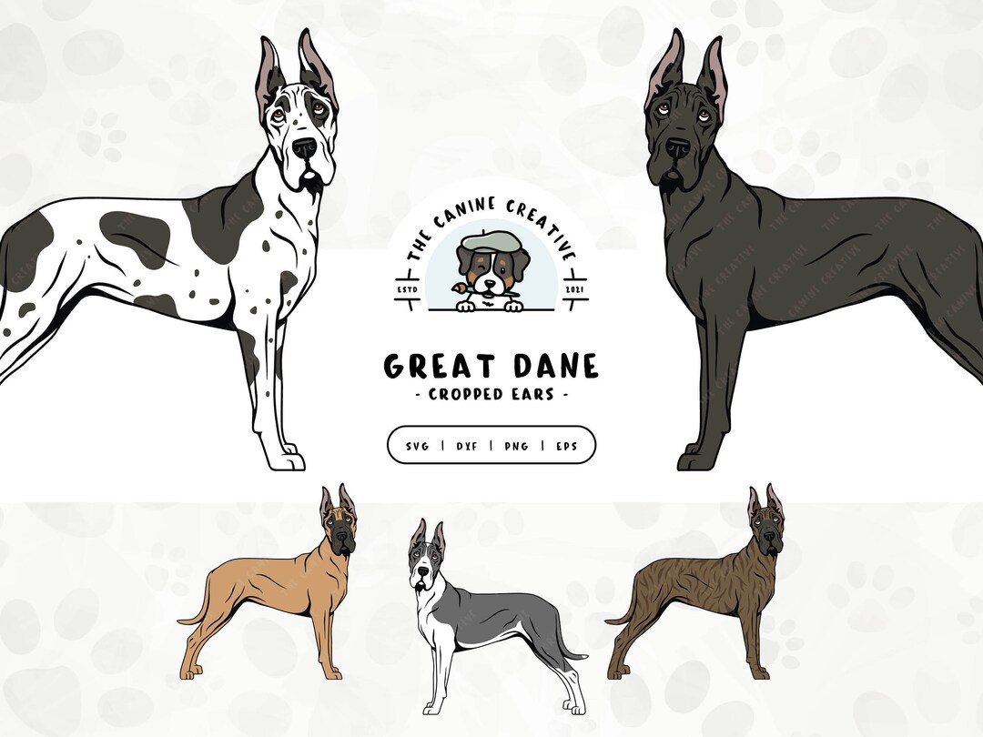 Great Dane SVG Natural Cropped Ears Standing Dog Clipart - Etsy