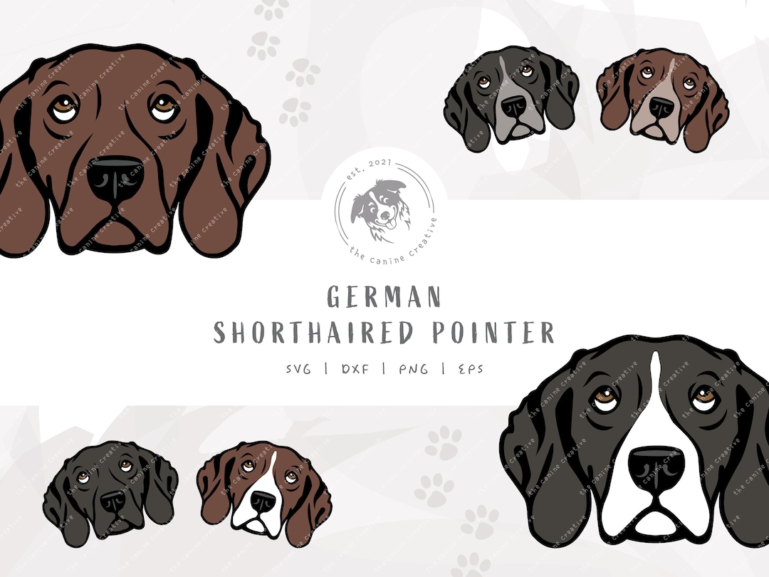 German Shorthaired Pointer SVG, GSP SVG, Dog Face Svg, German Shorthair ...