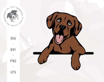 Peeking Lab Svg - Etsy Singapore